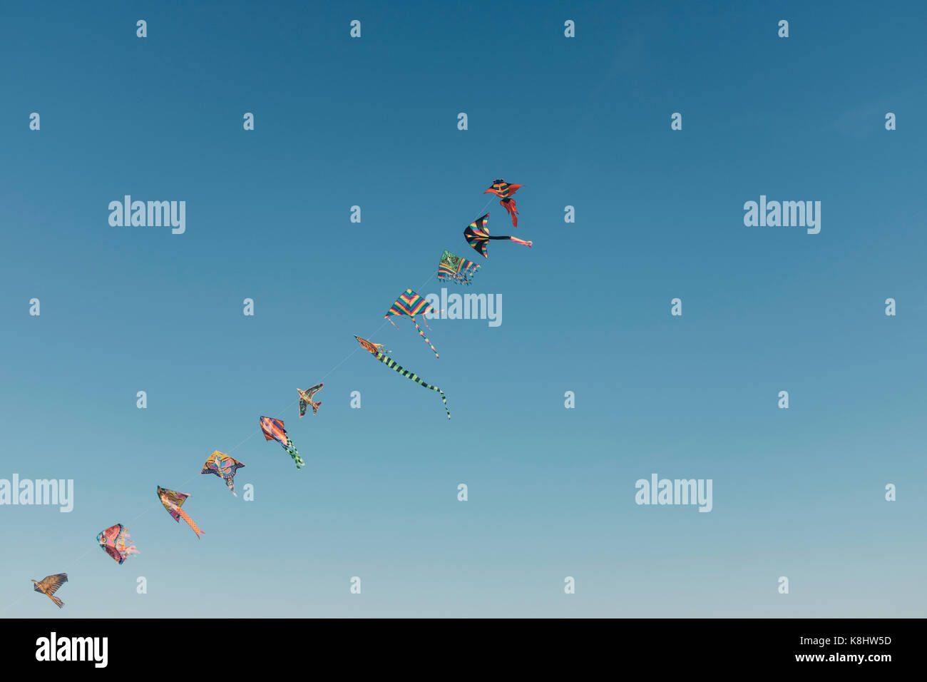 Kites flying hi-res stock photography and images - Alamy