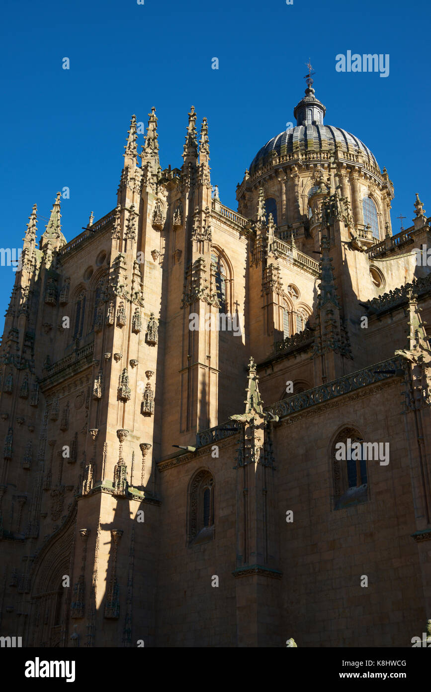 Plateresque style architecture hi-res stock photography and images - Alamy