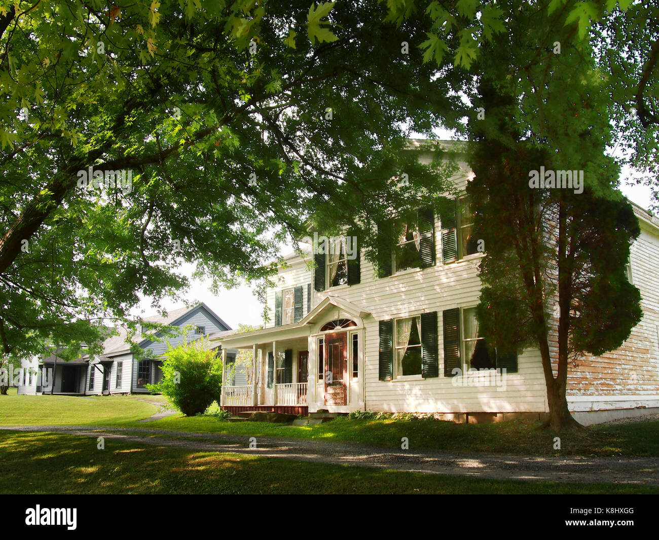 small tree lined street Stock Photo - Alamy