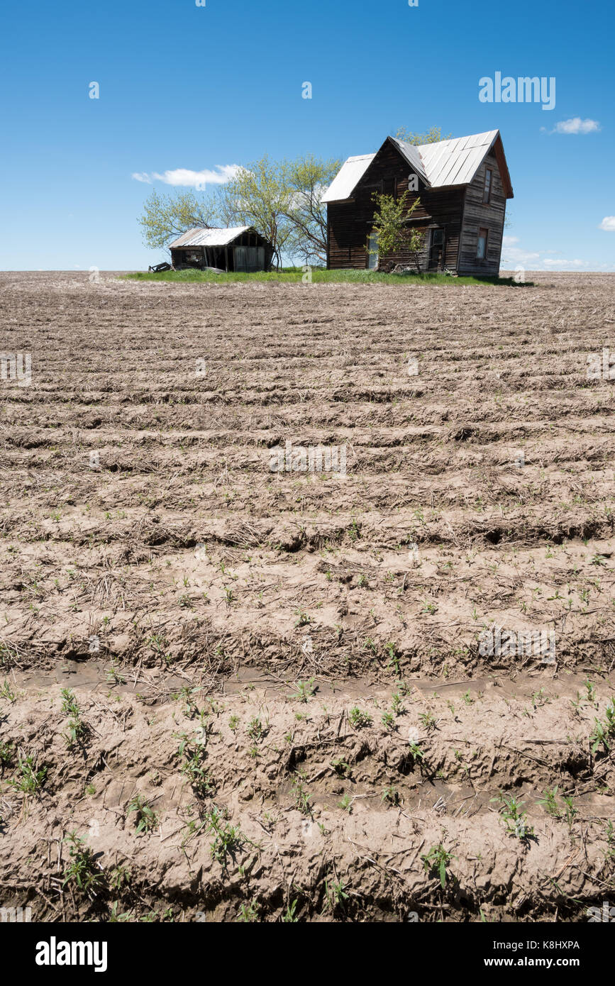 Old farmhouse surrounded by a disked field near Flora, Oregon Stock ...