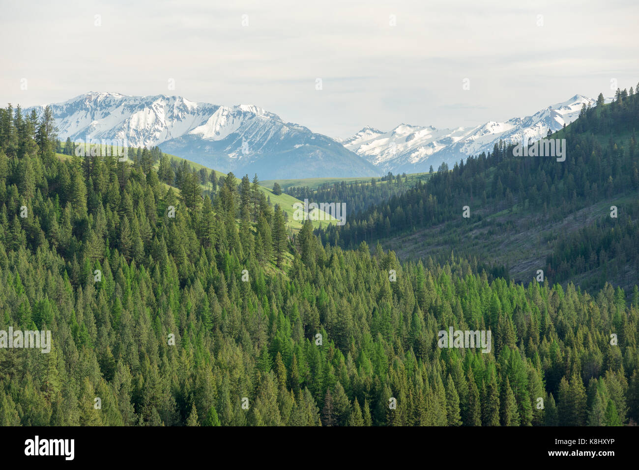 Swamp Creek Valley and the Wallowa Mountains, Oregon Stock Photo - Alamy