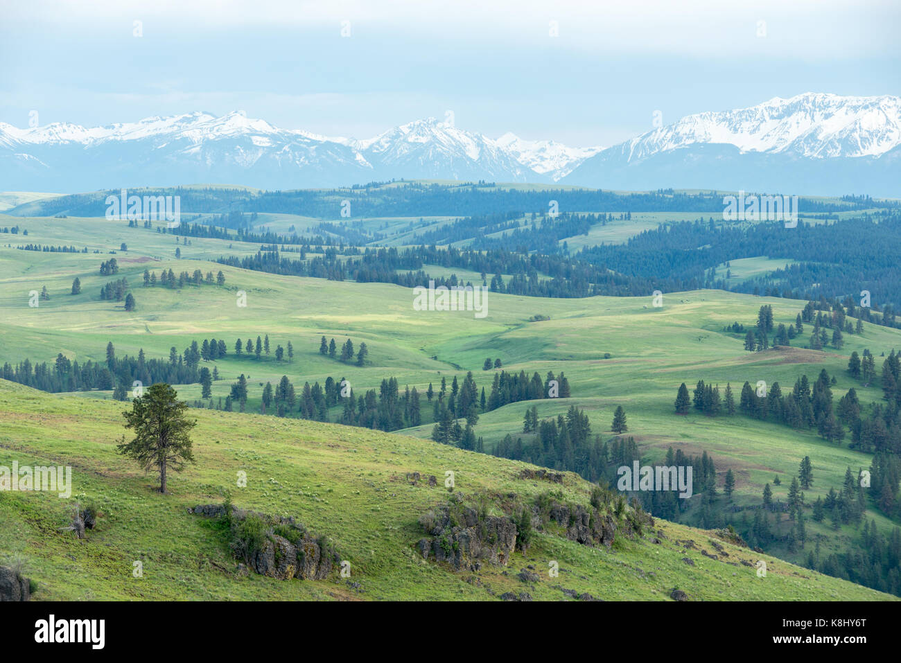 Wallowa Mountains, Oregon Stock Photo - Alamy