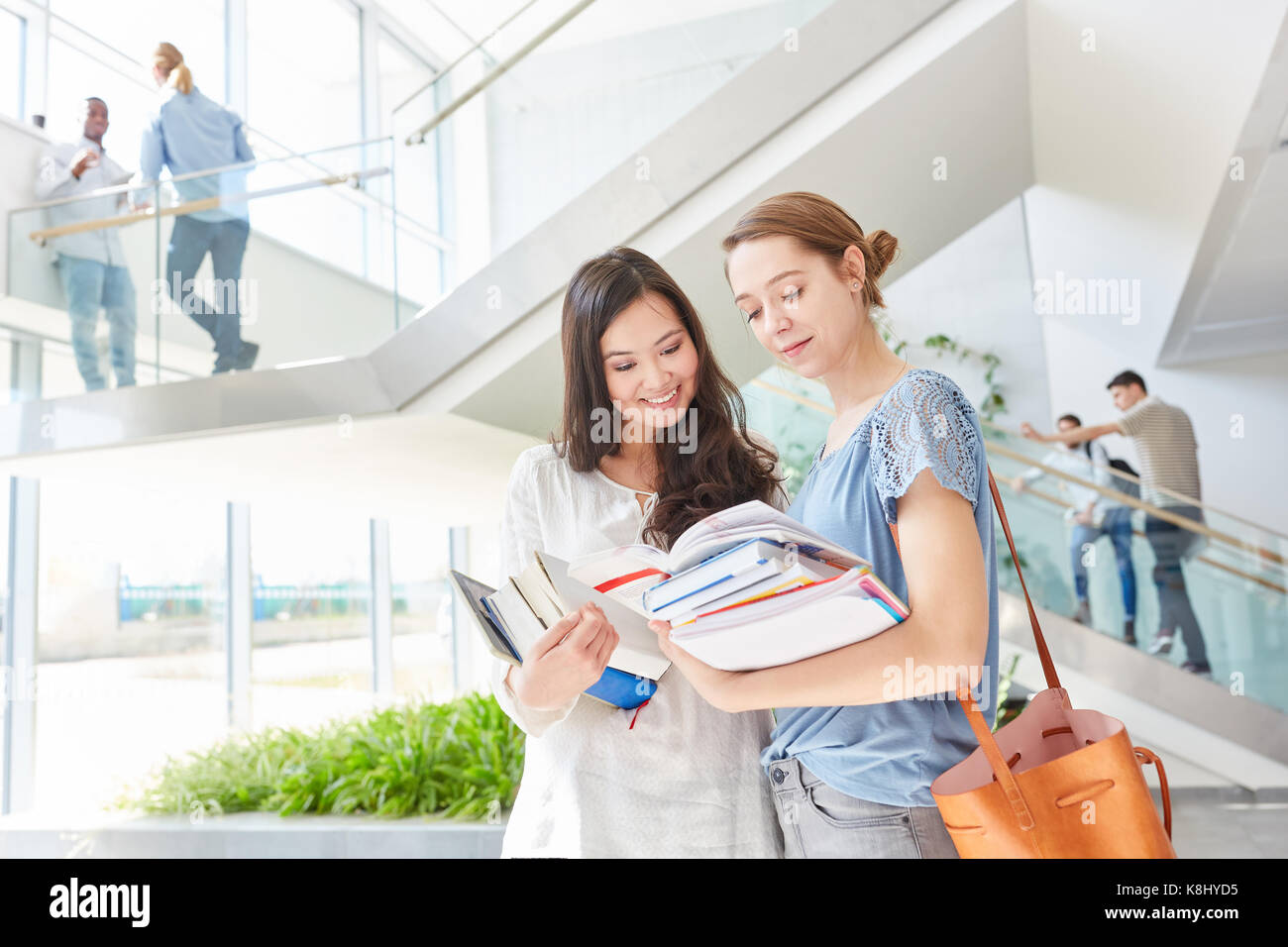 Two women as students in university study together in teamwork Stock ...