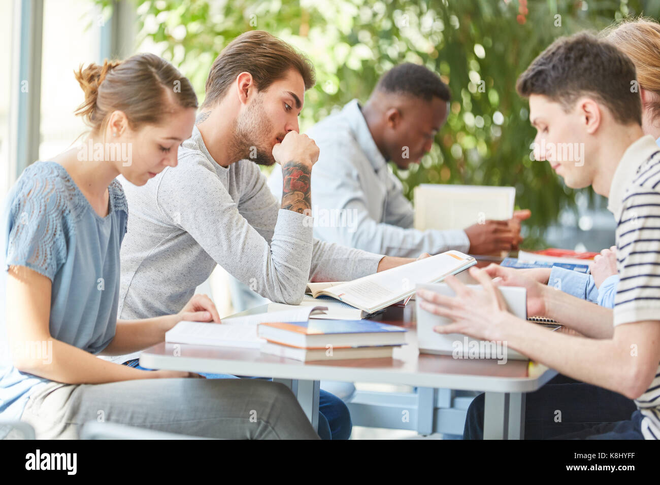 Group of students study together as team in university Stock Photo - Alamy