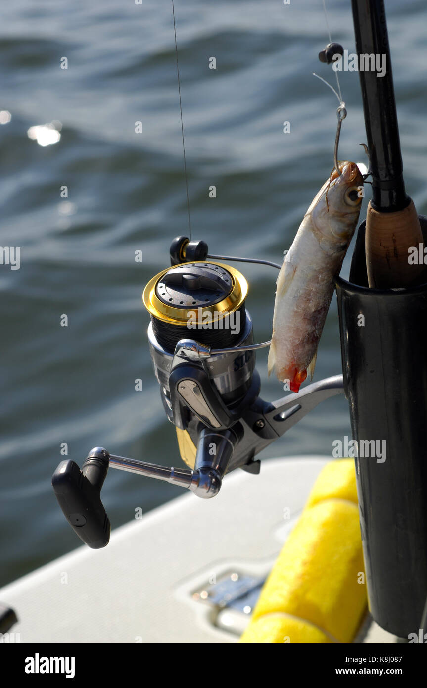 A spinning rod and reel used for catching redfish at Mosquito Lagoon ...