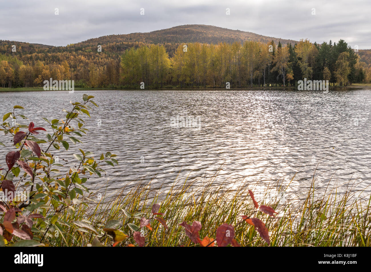 Sierravannet / Sierra lake outside Alta city in Finnmark Norway Stock ...