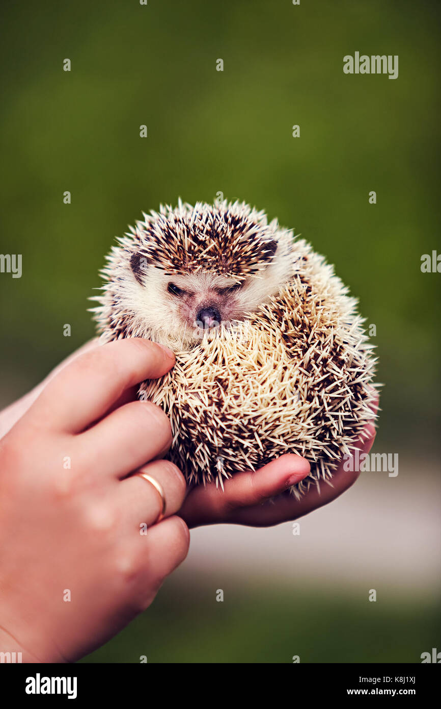 Curled fingers hi-res stock photography and images - Alamy