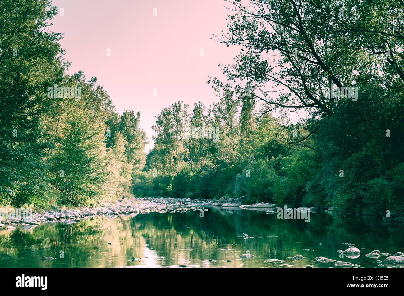 Tranquil idyllic river scene with green lush trees and calm water Stock ...