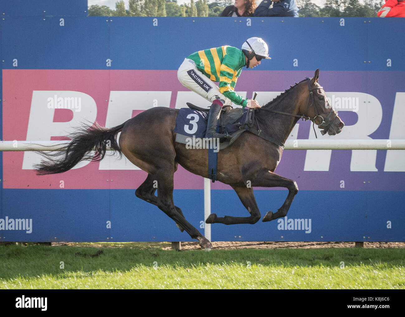 Racehorse crosses the winning line at Uttoxeter Racecourse Stock Photo ...