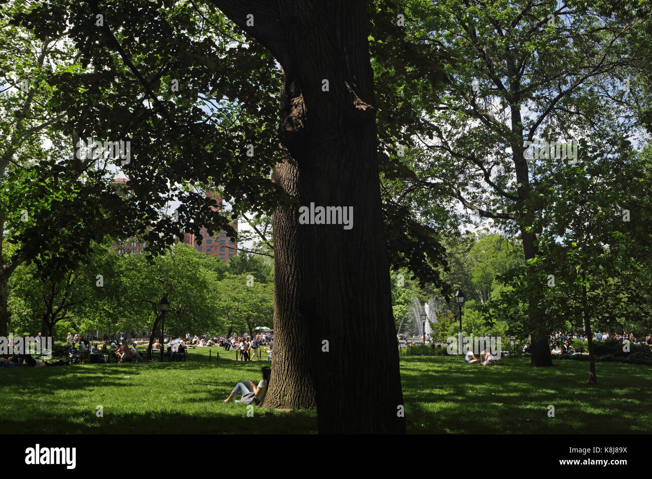 New York, NY, USA - June 1, 2017: Girl enjoys sitting under a shady ...