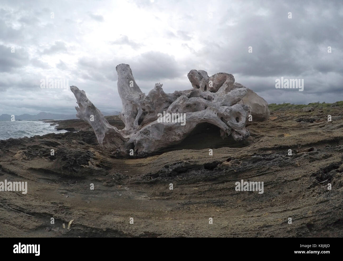 Seaa hi-res stock photography and images - Alamy