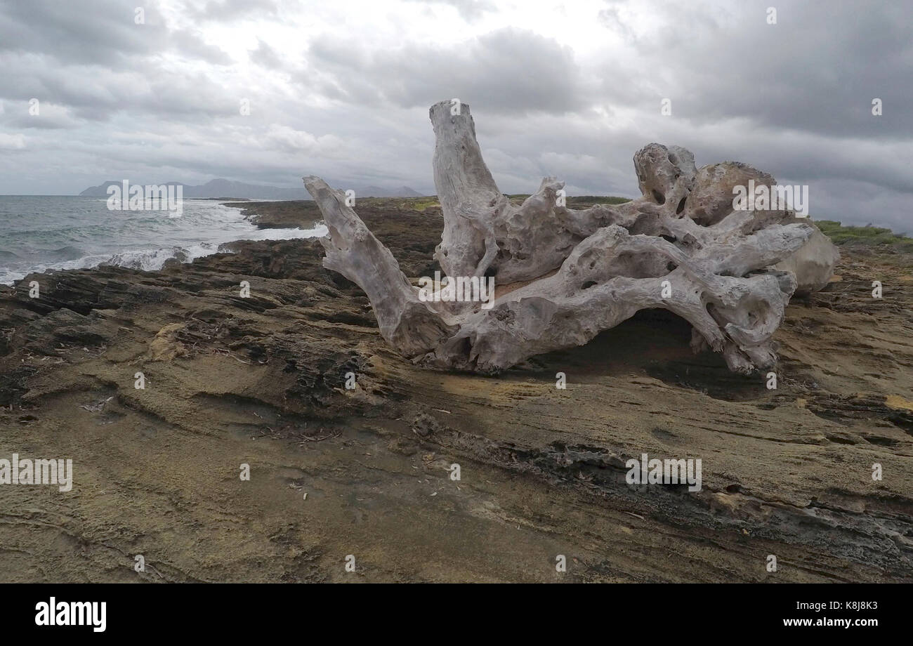 Seaa hi-res stock photography and images - Alamy