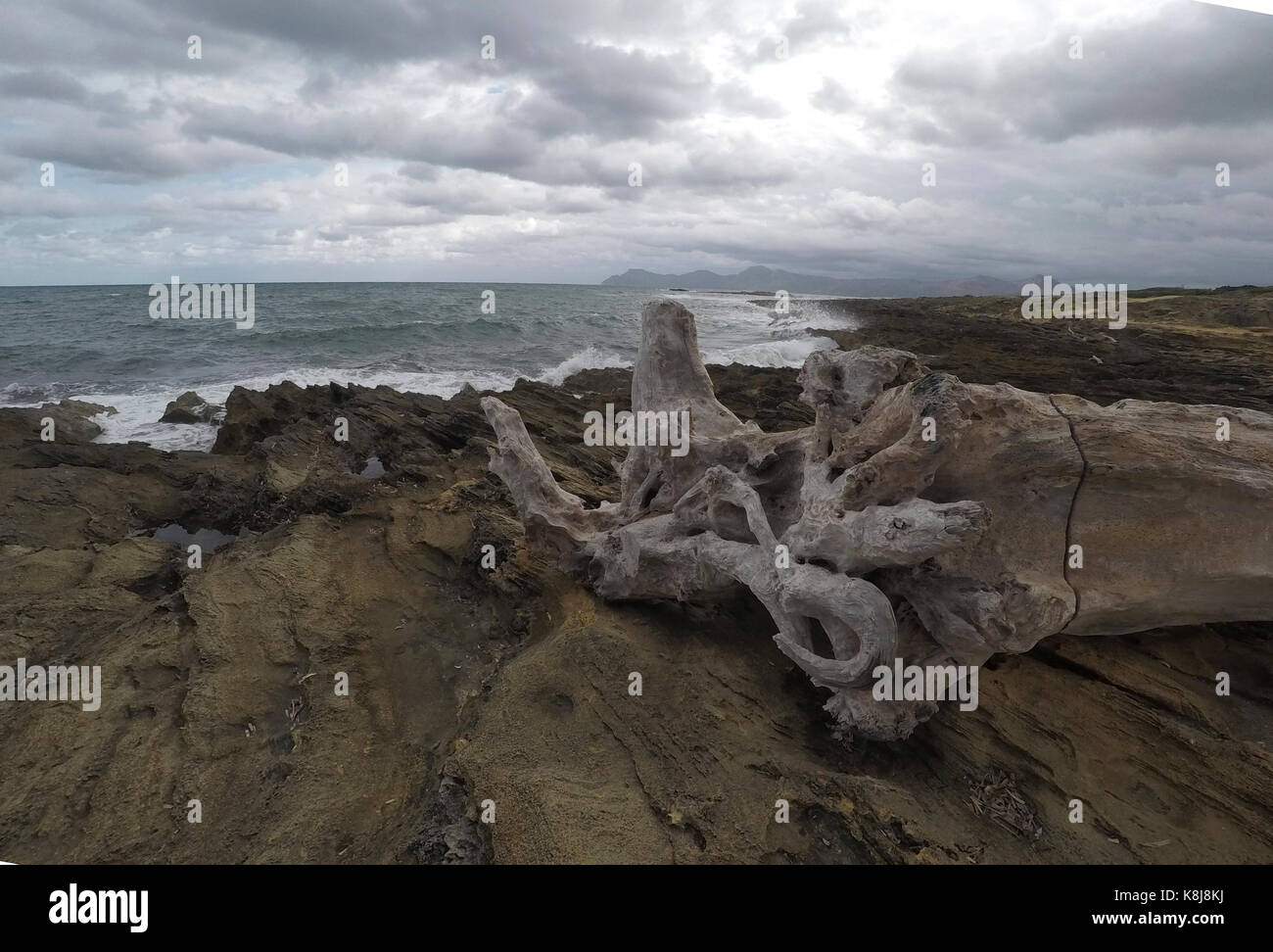 Seaa hi-res stock photography and images - Alamy