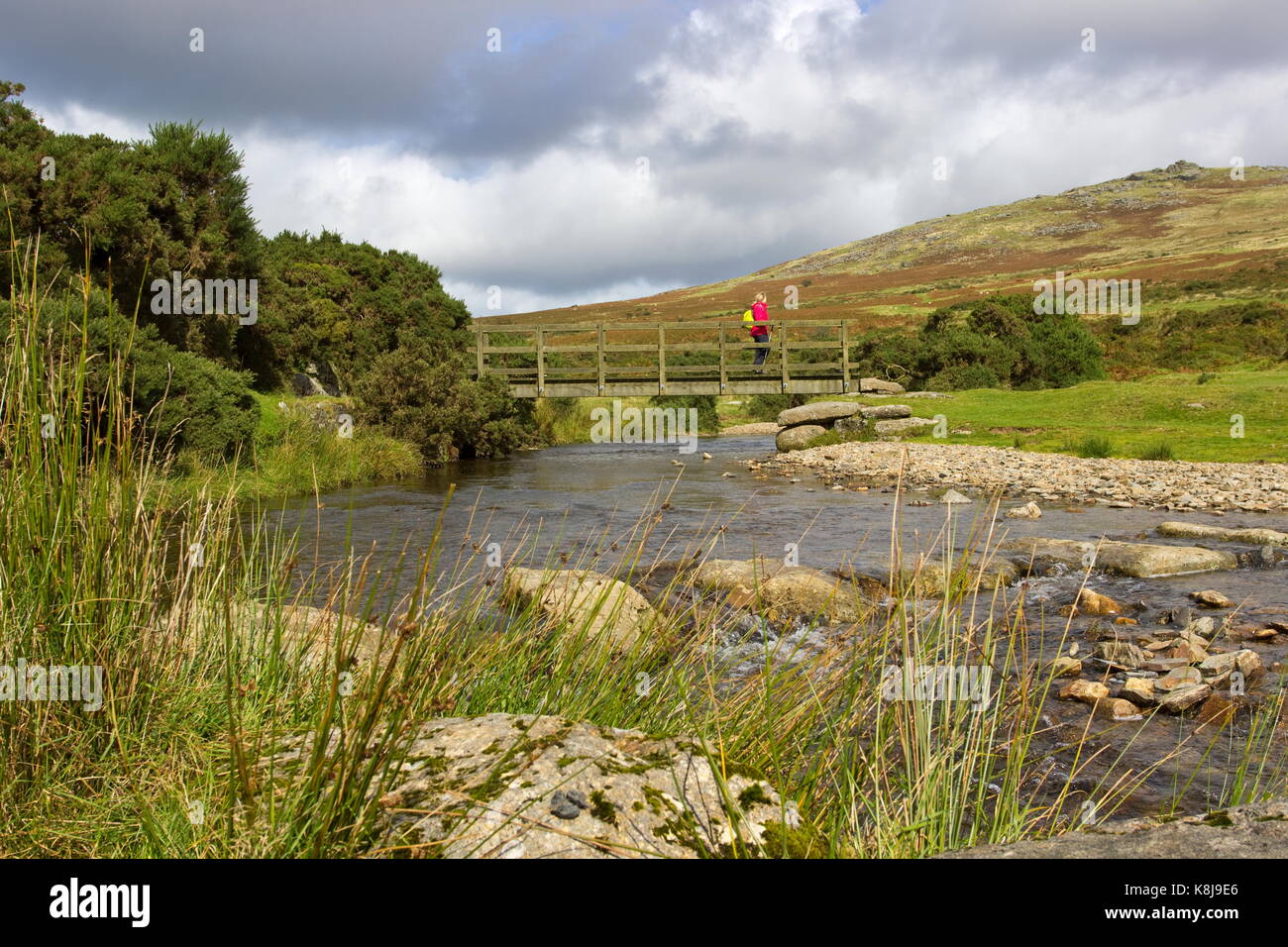 Female in red on the River Lyd with wooden bridge and stepping stones ...