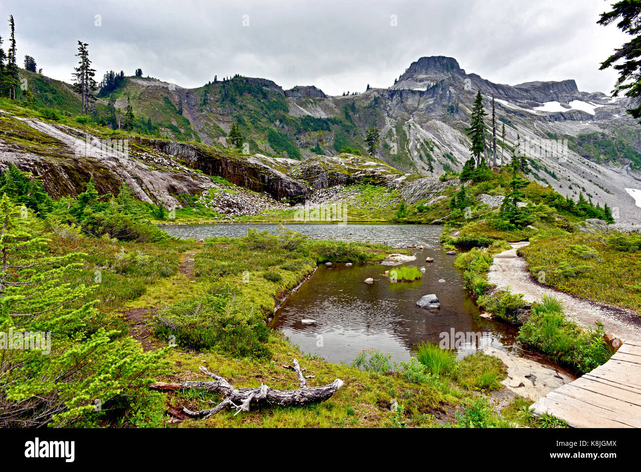 Seattle washington snow hi-res stock photography and images - Alamy