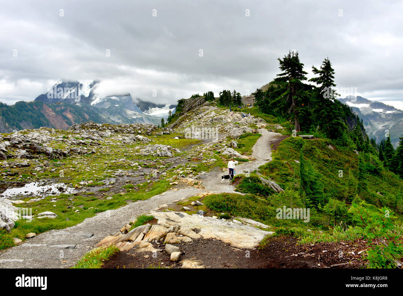 Seattle Cityscapes, Washington State, USA Stock Photo - Alamy