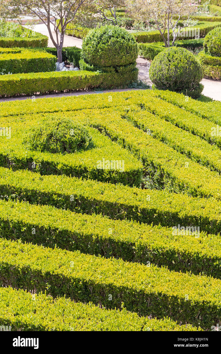Geometric Shapes In Plants