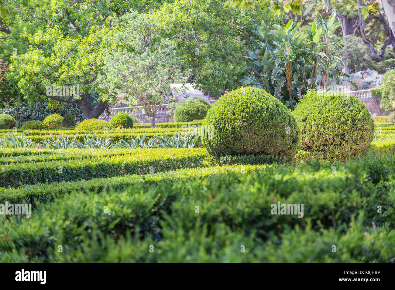 neat Park with topiary plants. smooth lines and geometric shapes Stock ...