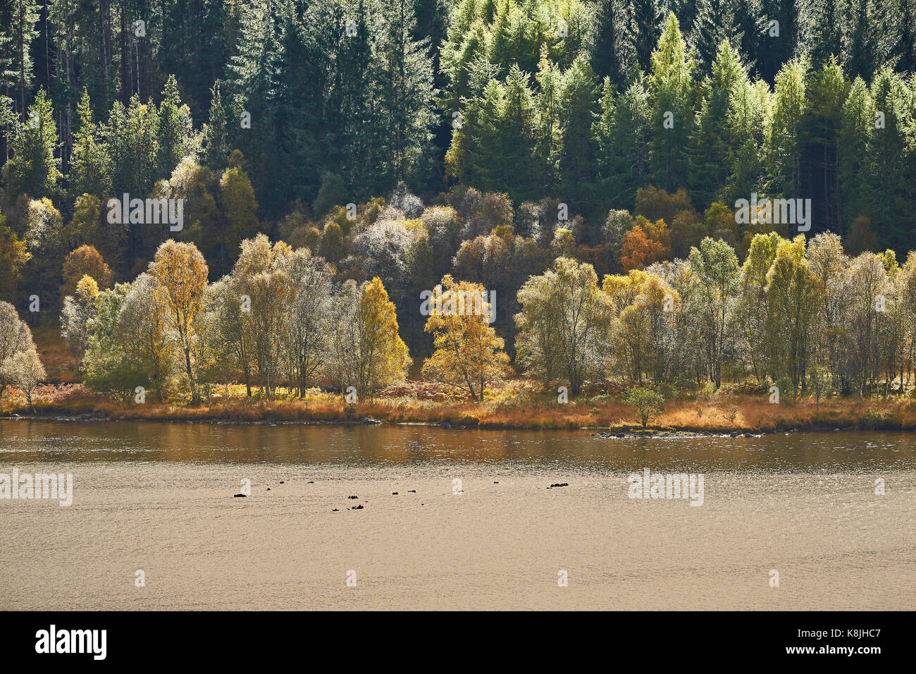 Rivers and trees hi-res stock photography and images - Alamy