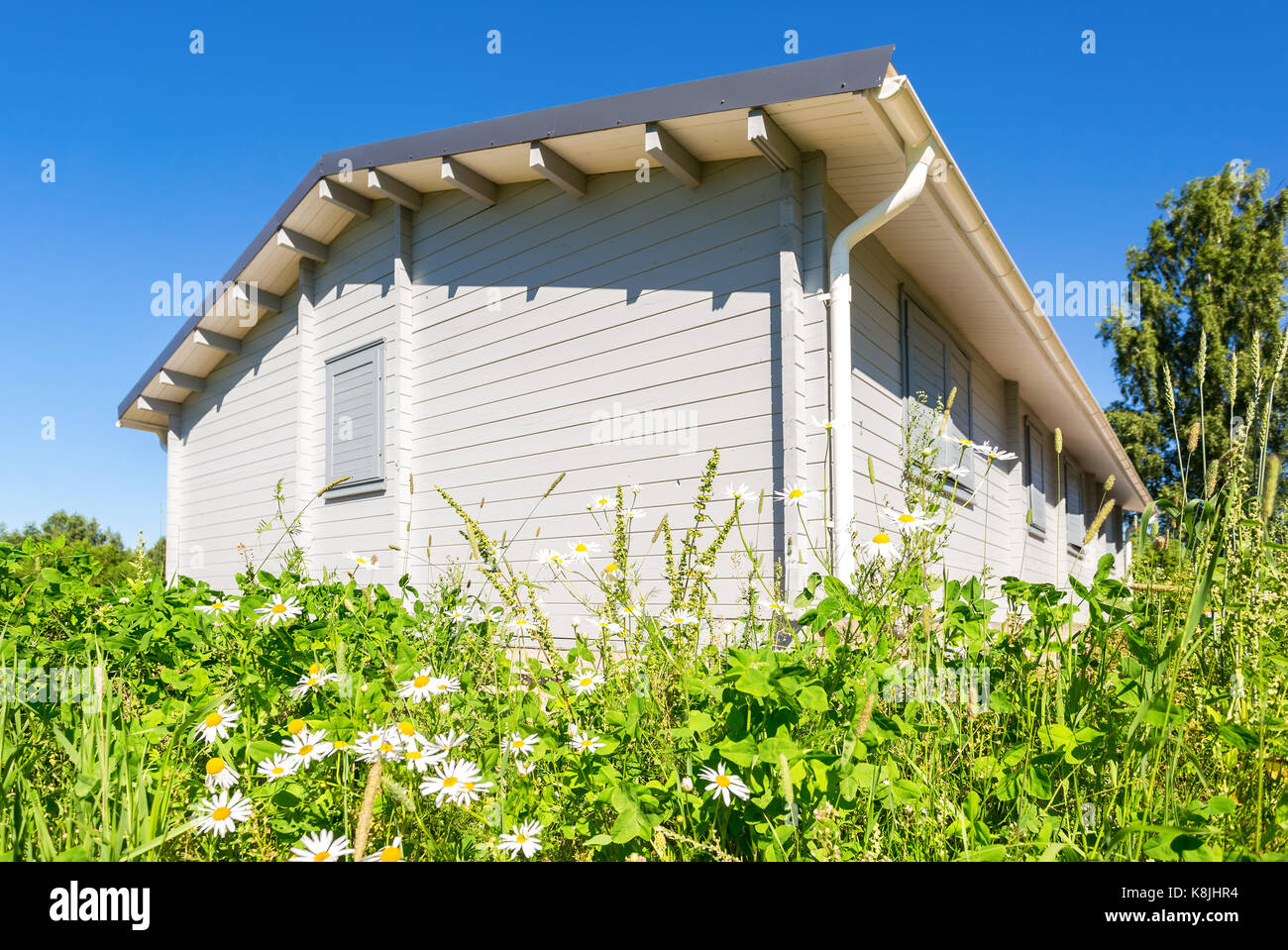 Construction of a new wooden house in summer sunny day Stock Photo - Alamy