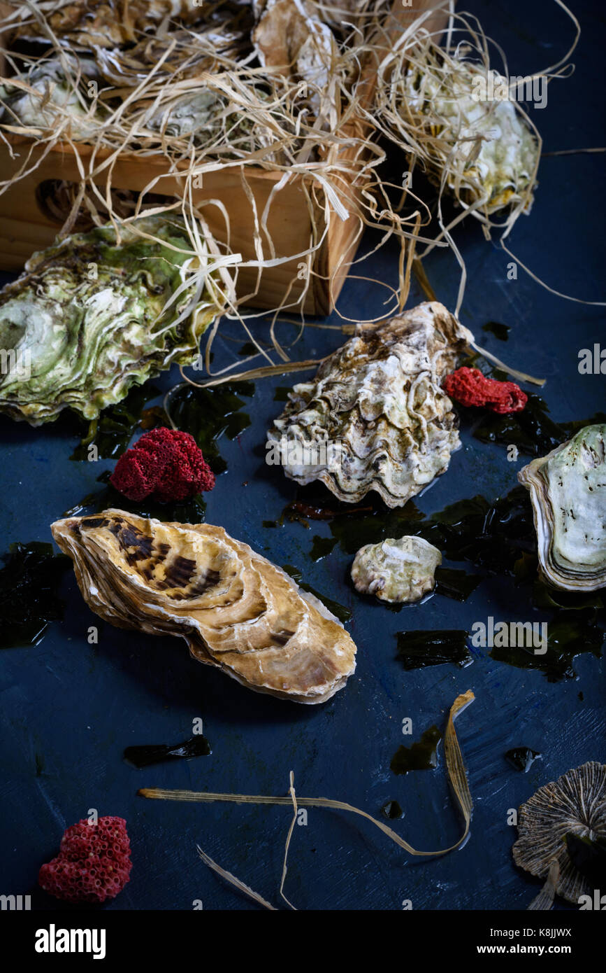 Oysters in a box, seafood market. Close up Stock Photo - Alamy