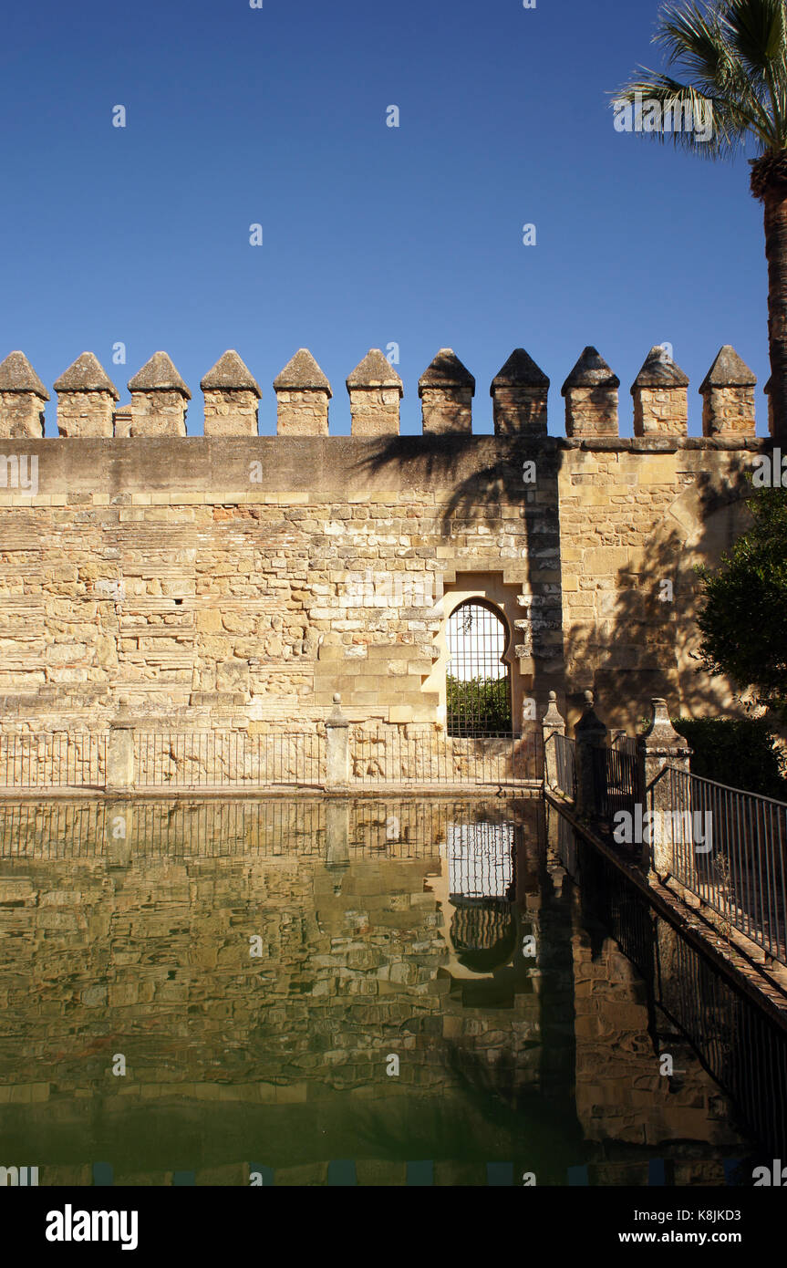 The wall and palm and its reflection in fountains of the garden of ...