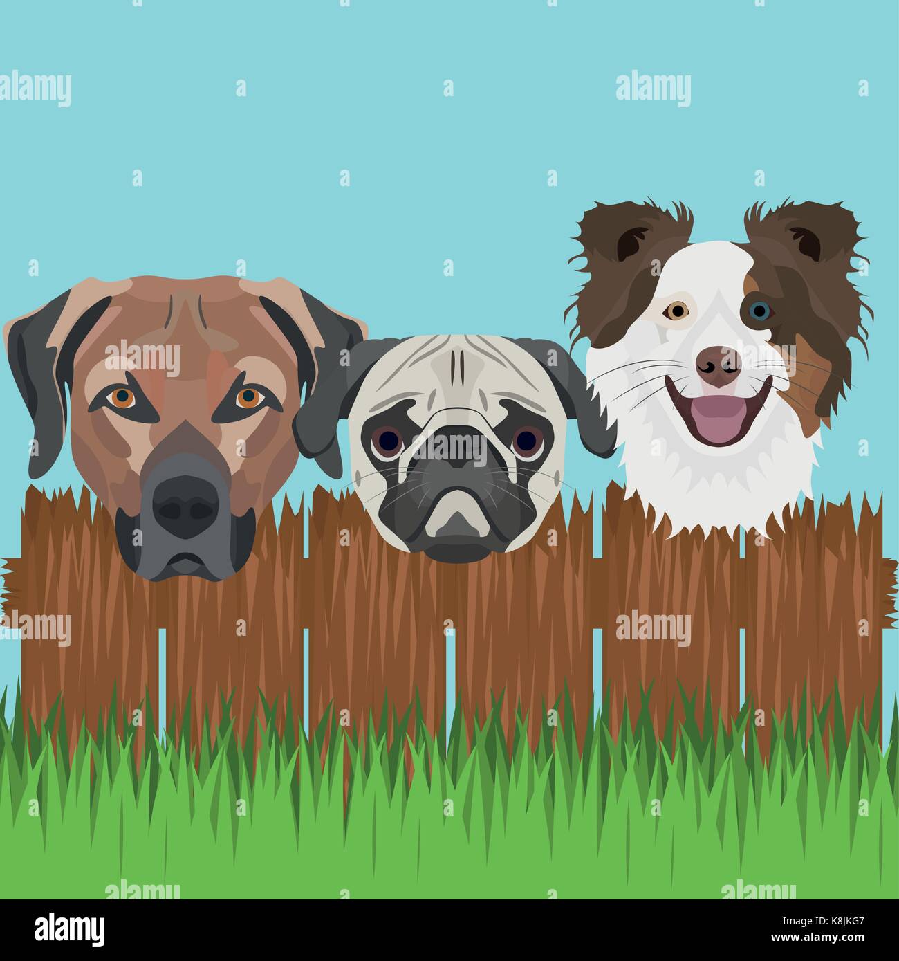 Pug behind Stock Vector Images - Alamy
