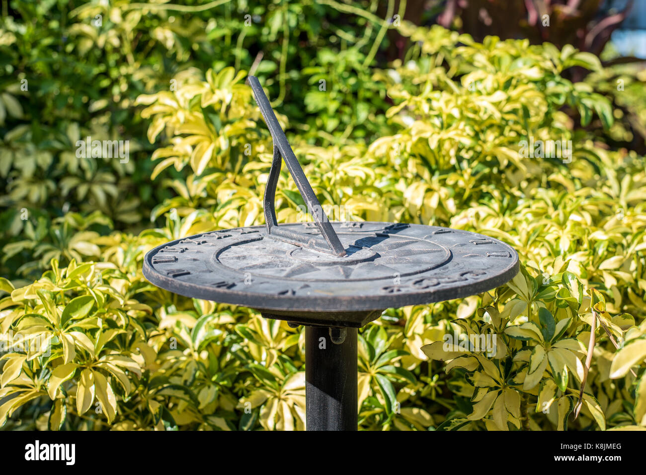 sundial in the garden Stock Photo - Alamy