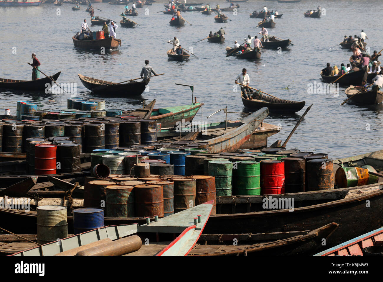 the life diversity over and surrounding the dying river buriganga of ...