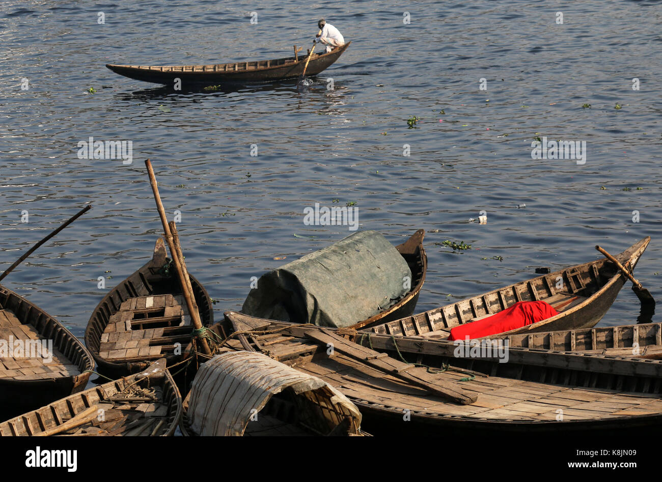 the life diversity over and surrounding the dying river buriganga of ...
