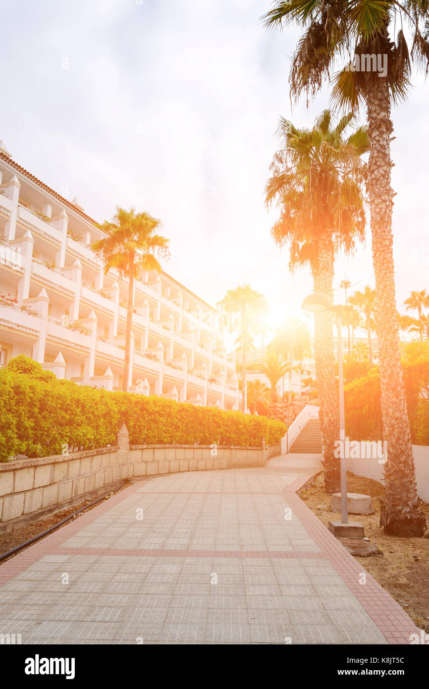 Palm trees at sunset near the hotel Stock Photo - Alamy