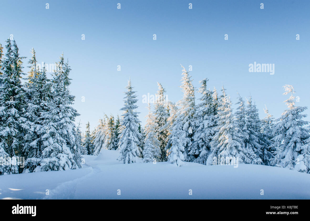 Mysterious winter landscape majestic mountains in winter. Magical snow ...