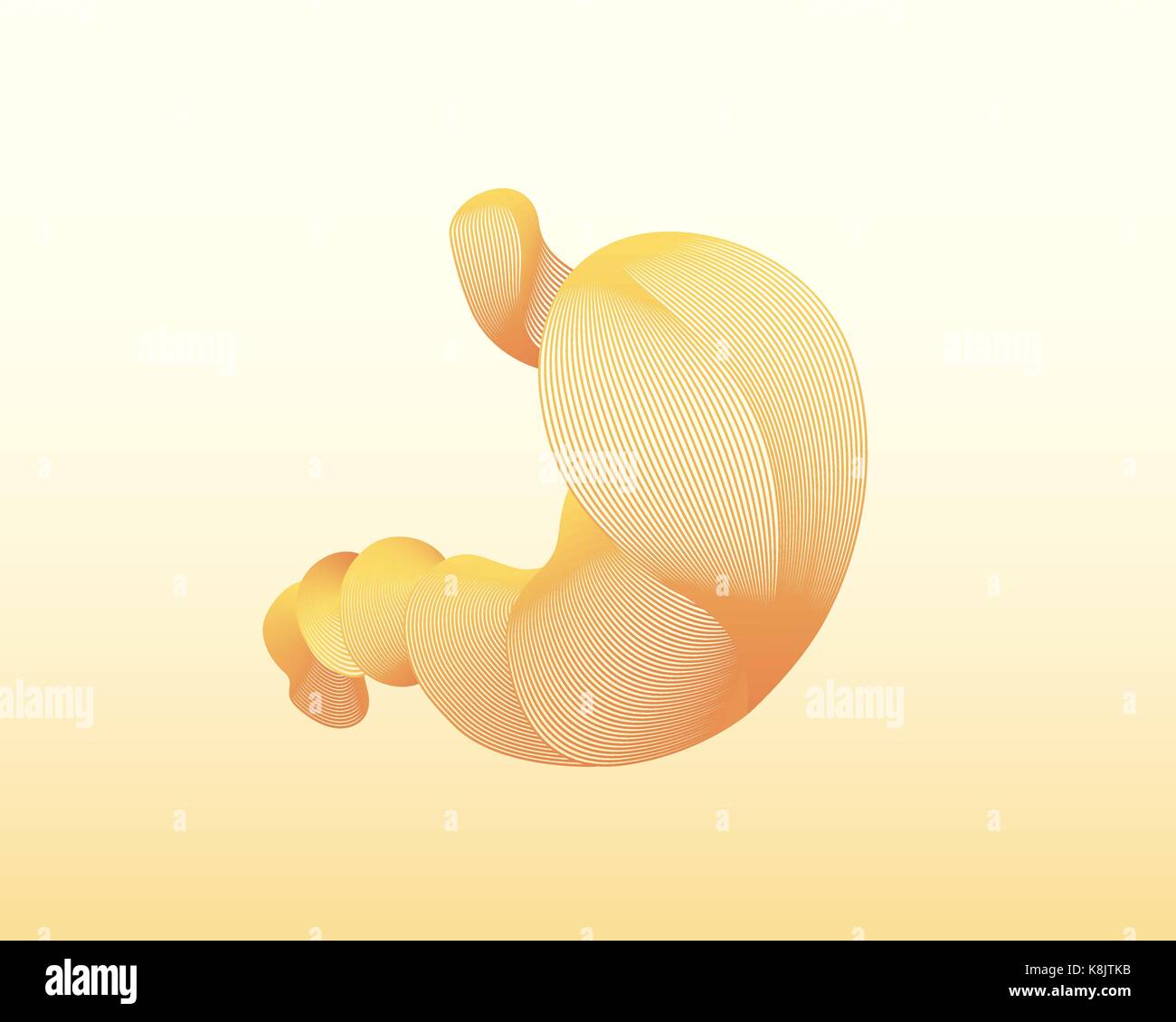 Linear human stomach. Vector illustration. Colorful drawing. Can use ...