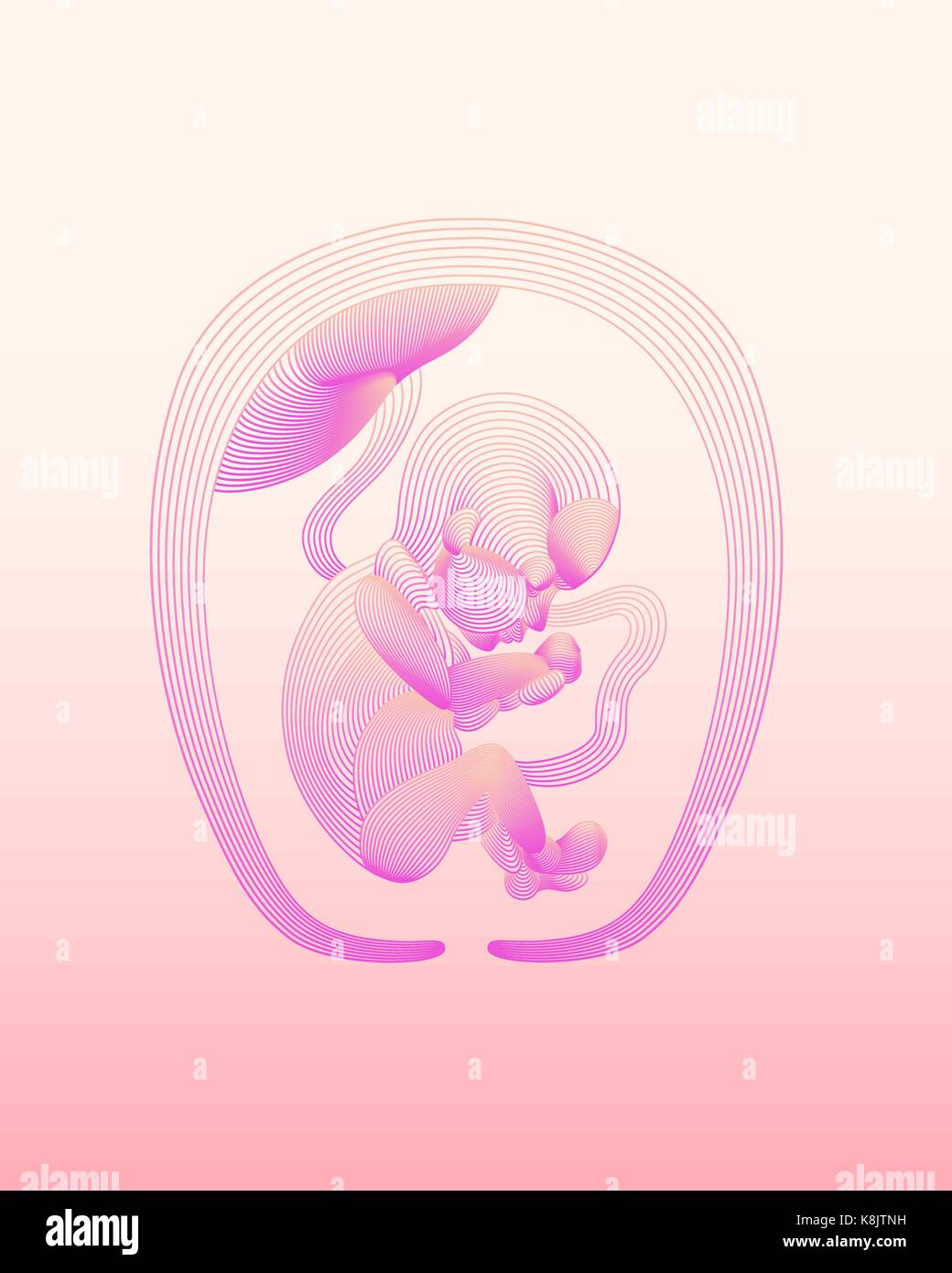 Baby Embryo Vector