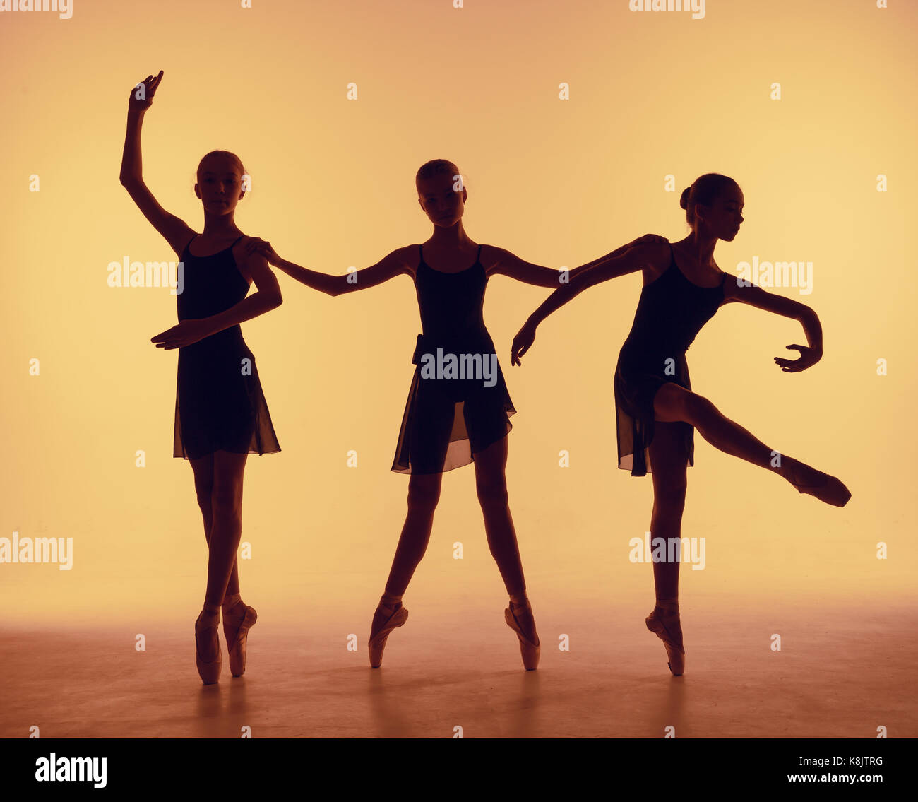 Modern Ballet Poses