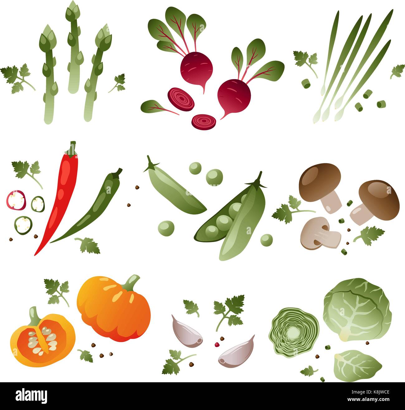 Set of vegetables on white background. eps 10 Stock Vector Image & Art ...