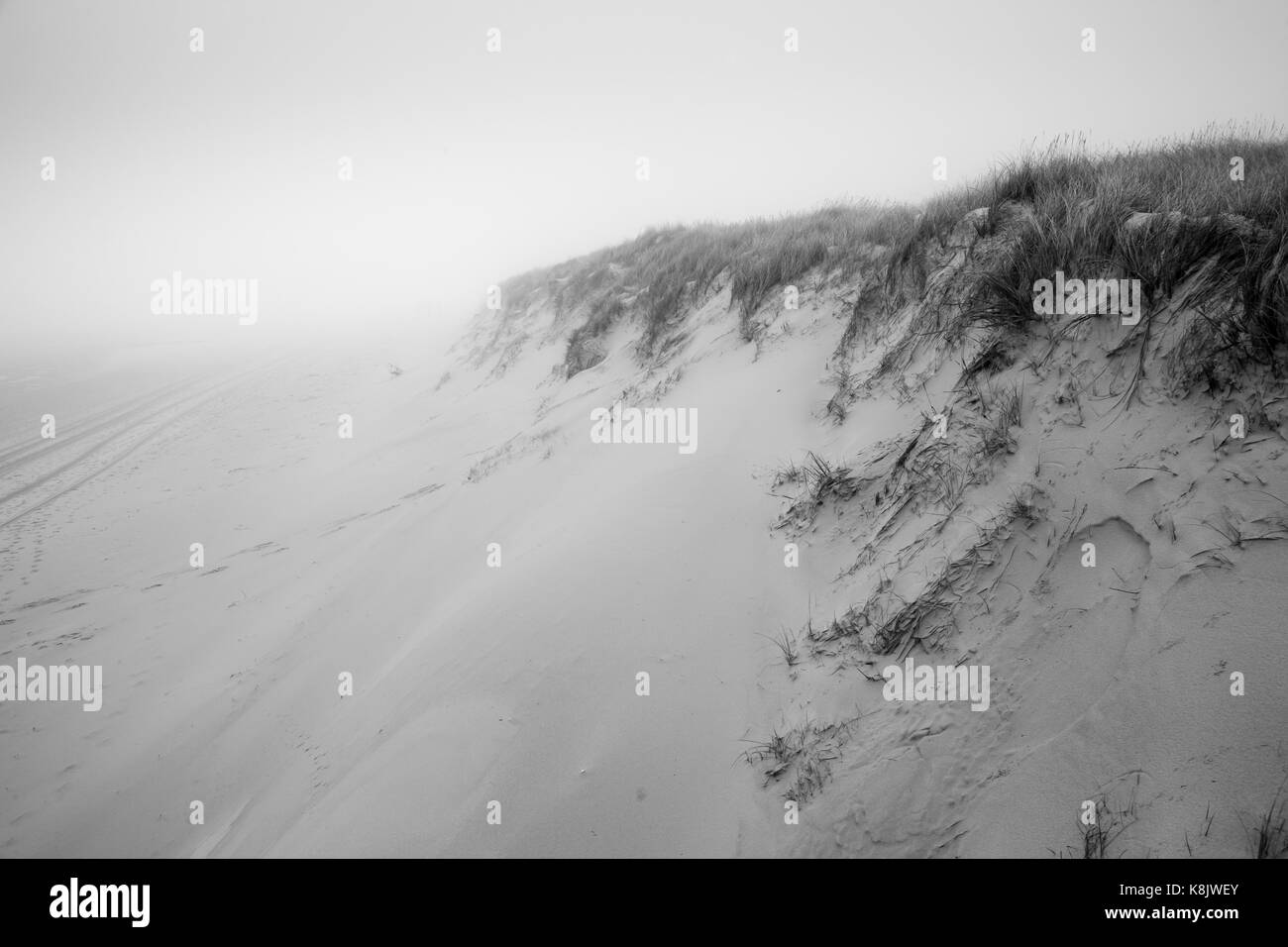 Fog over the sand dunes, Sylt, North Friesland, North Frisian island ...