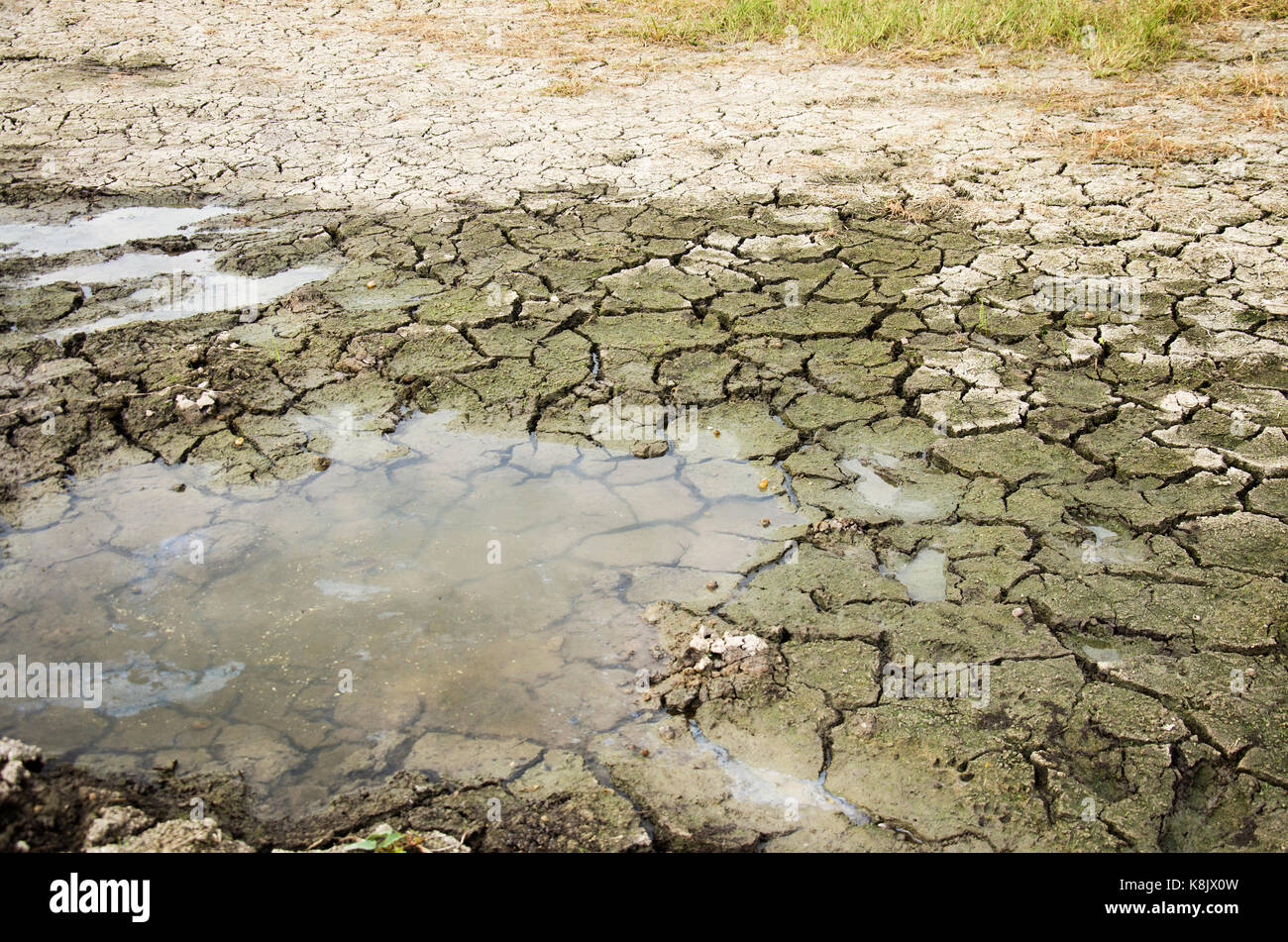 Waterless in puddle at desert land because drought disaster in ...
