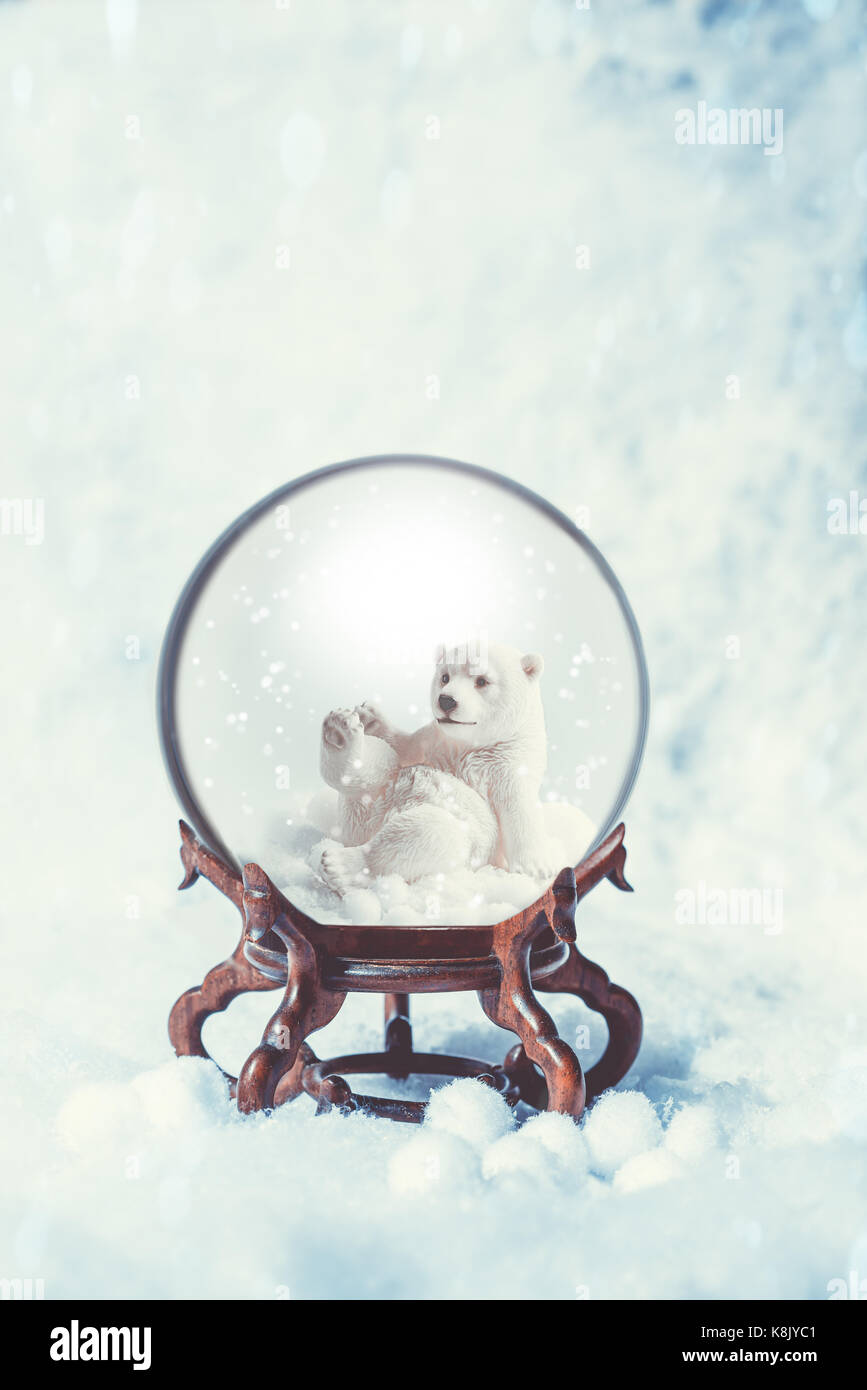 Polar bear in snowglobe winter scene Stock Photo - Alamy