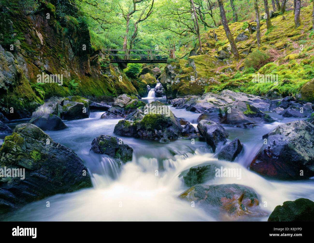 A summer view of the fast flowing Afon Goedol in Snowdonia National ...