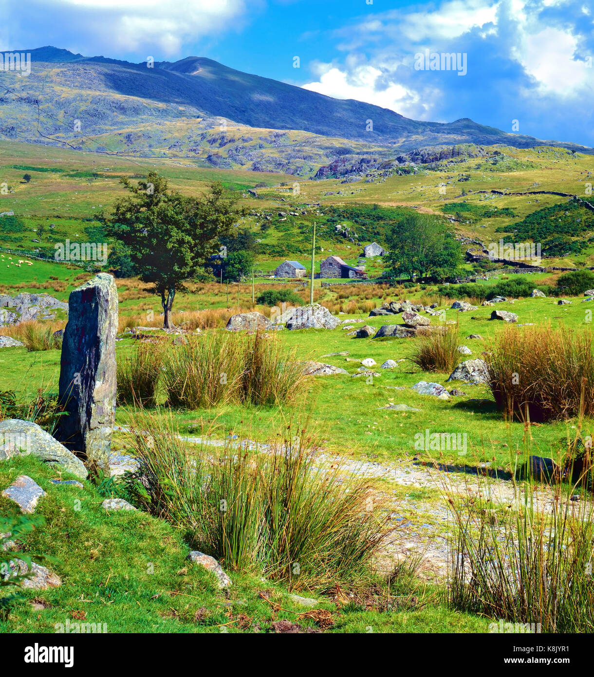A summer view of the Snowdonia National Park, Wales, UK Stock Photo - Alamy