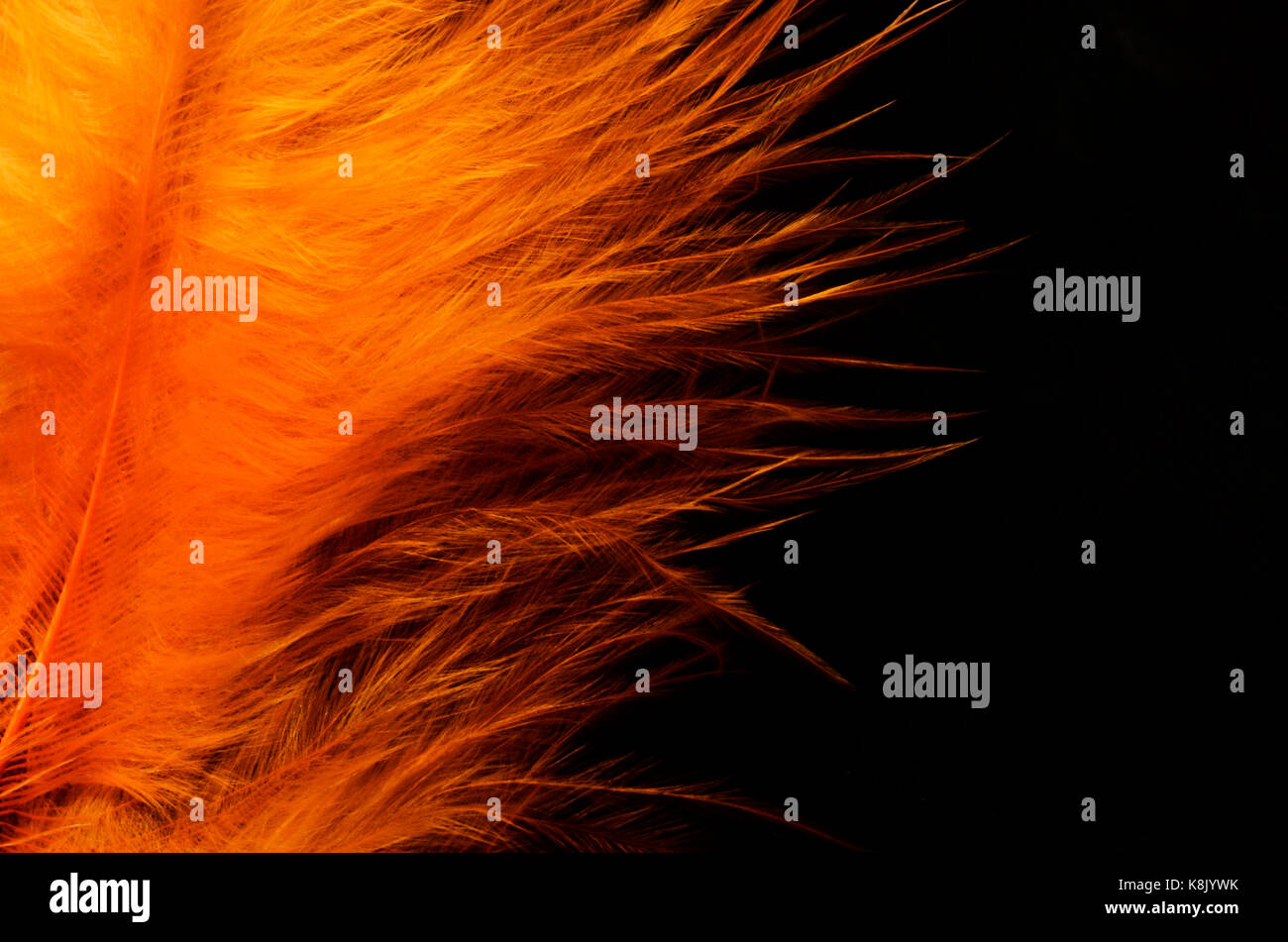 Orange feather background : autumn or halloween background Stock Photo ...