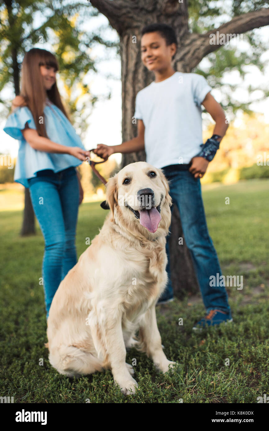 multiethnic teens with dog Stock Photo - Alamy