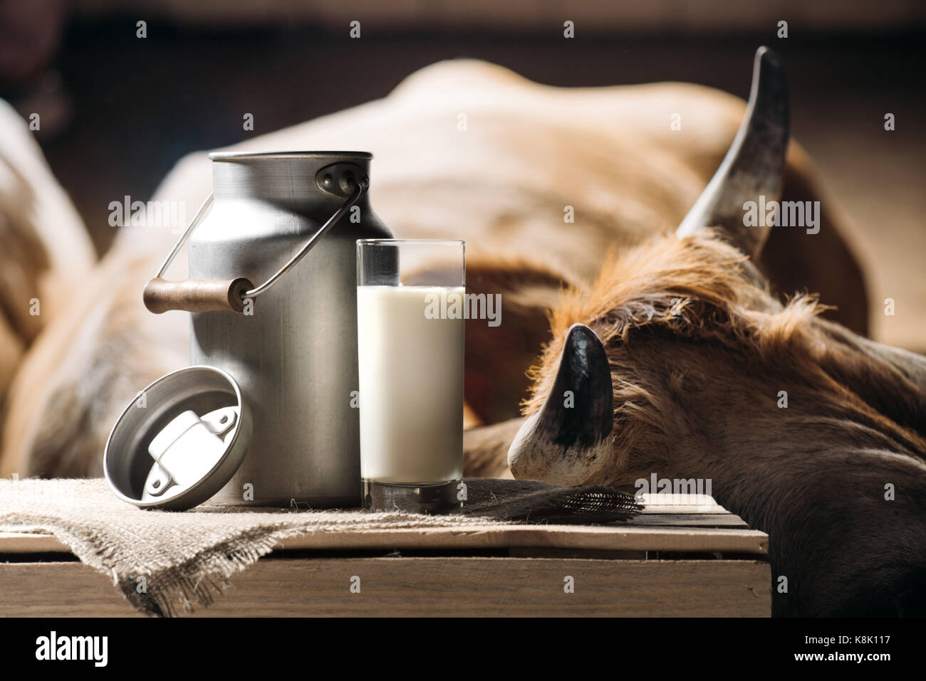 close-up view of fresh milk and brown cow Stock Photo - Alamy