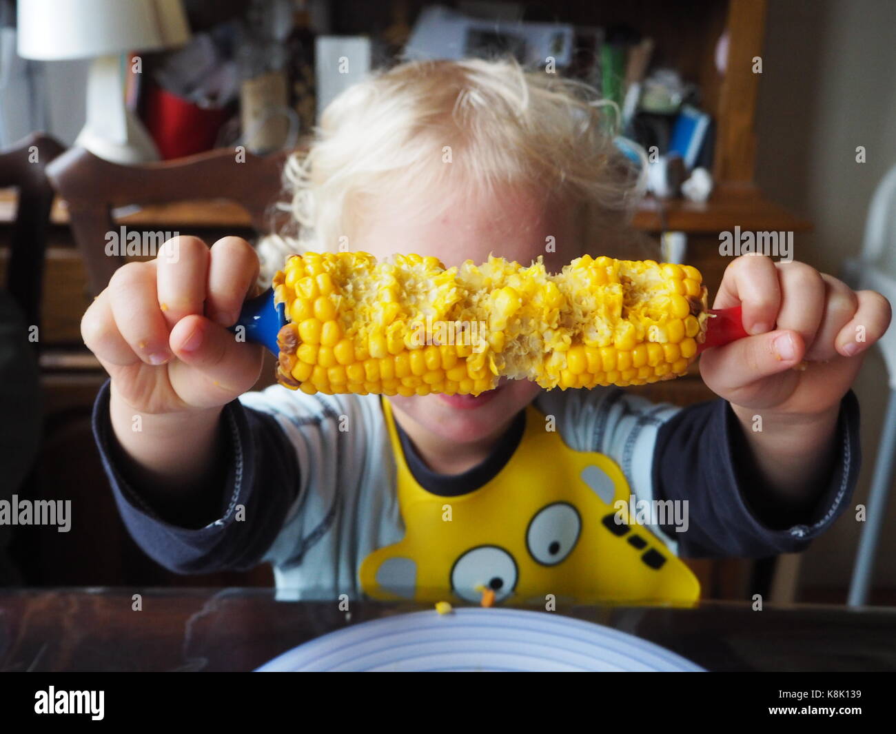 Hungry toddler enjoying his corn on the cob. Two and a half year old ...
