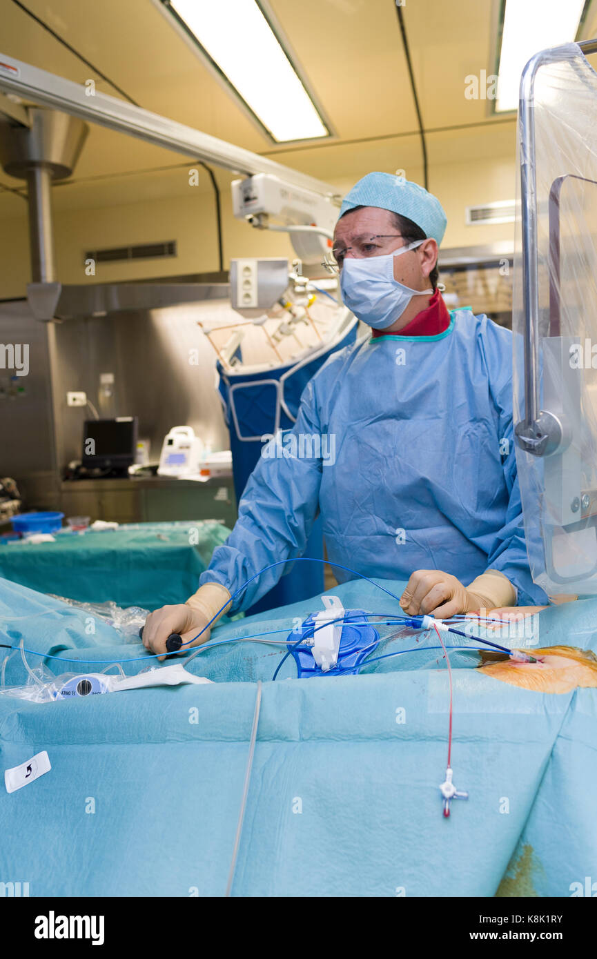 Catheter ablation hi-res stock photography and images - Alamy