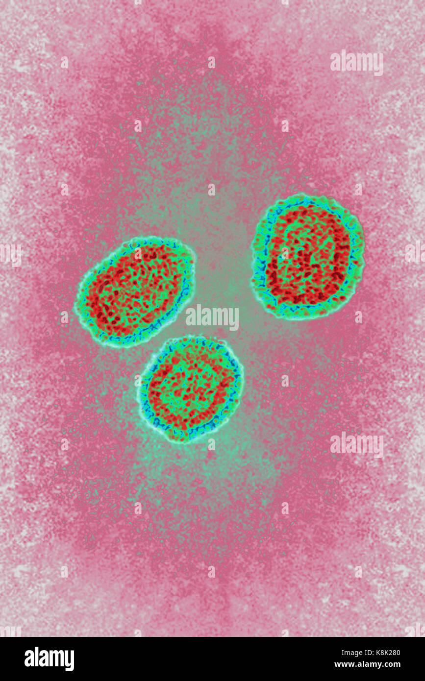 Flu virus microscope hi-res stock photography and images - Alamy