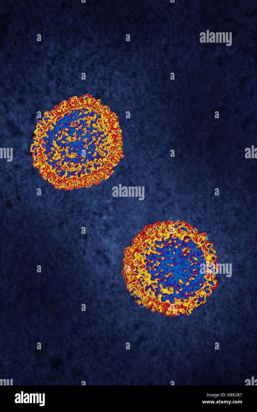 Flu virus microscope hi-res stock photography and images - Alamy