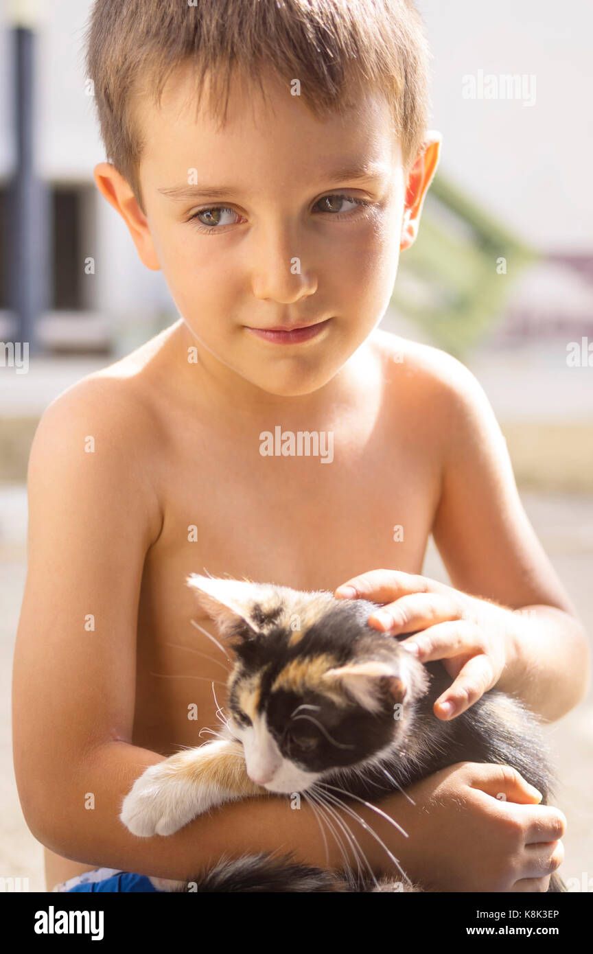 Cute little boy posing with a kitten in his hands, backlit of the sun ...
