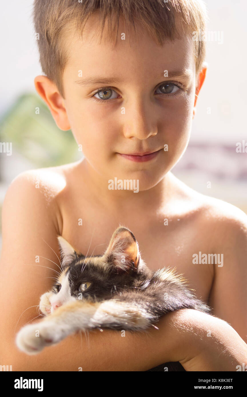 Cute little boy posing with a kitten in his hands, backlit of the sun ...